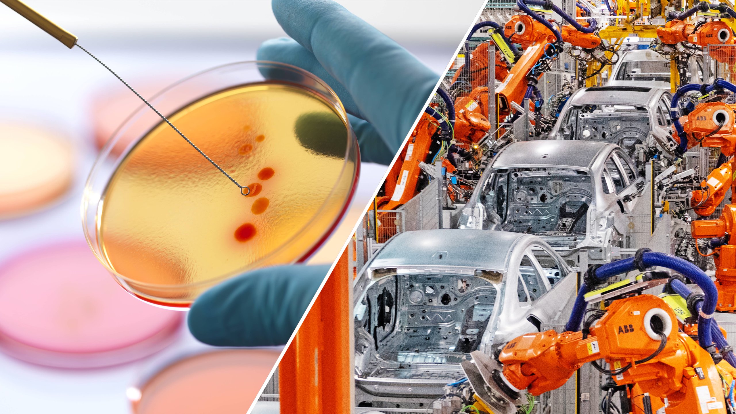 Bayer, Merck & Co.: Pharma wird in Deutschland zur Schlüsselbranche