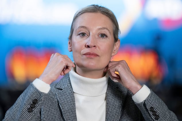 Alice Weidel und die AfD - Der gefährliche Irrweg der Anti-Euro-Partei