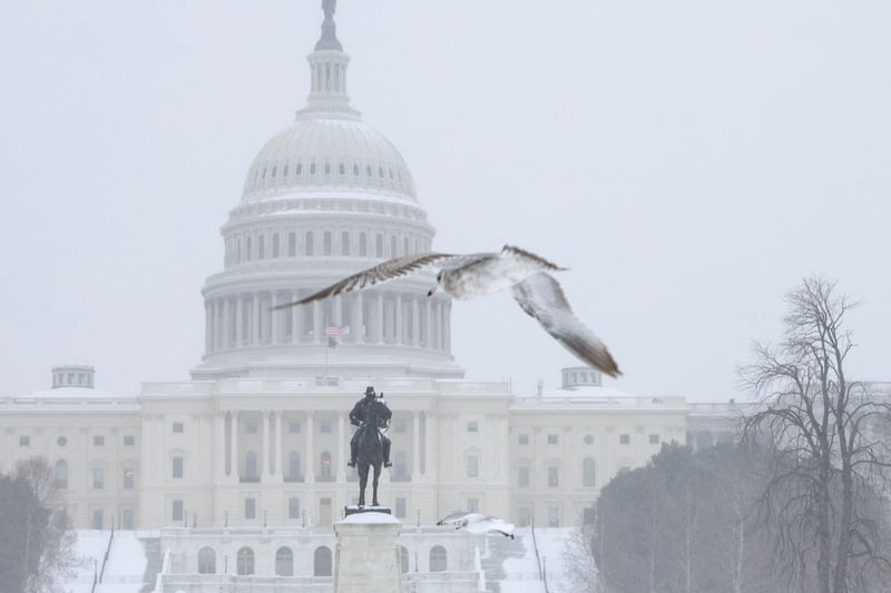USA: Dollar fällt auf mehrjähriges Tief – Trump findet das „großartig“