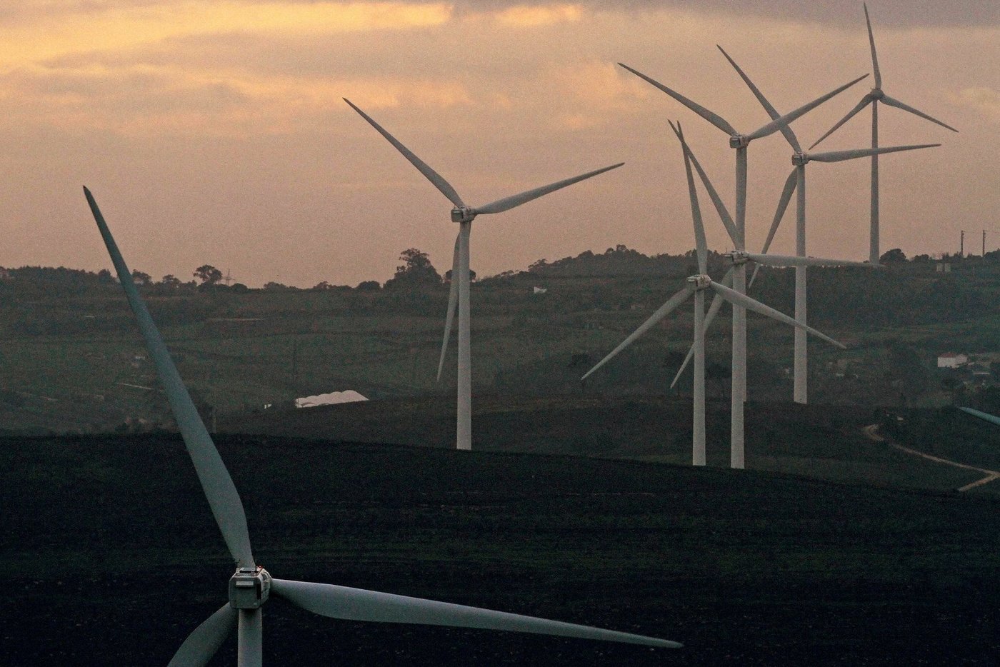 Nachhaltigkeit: Wie Berater den Überblick bei nachhaltigen Fonds behalten