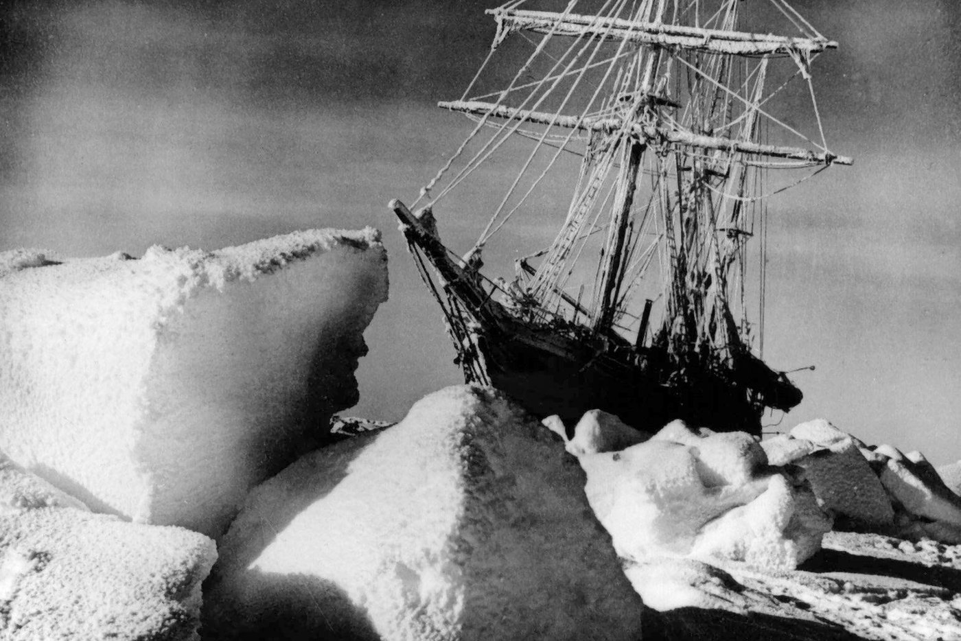 Der Werber-Rat: Die wirkungsvollste Anzeige aller Zeiten