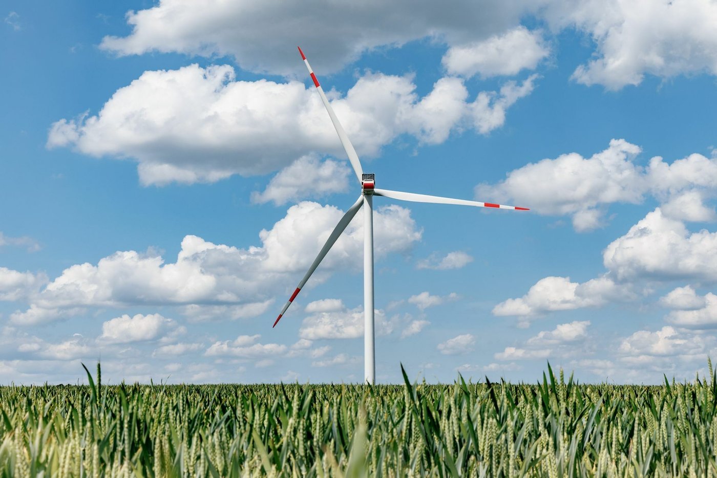 Energiewende: Scholz’ Ziele zum Windkraft-Ausbau drohen zu scheitern