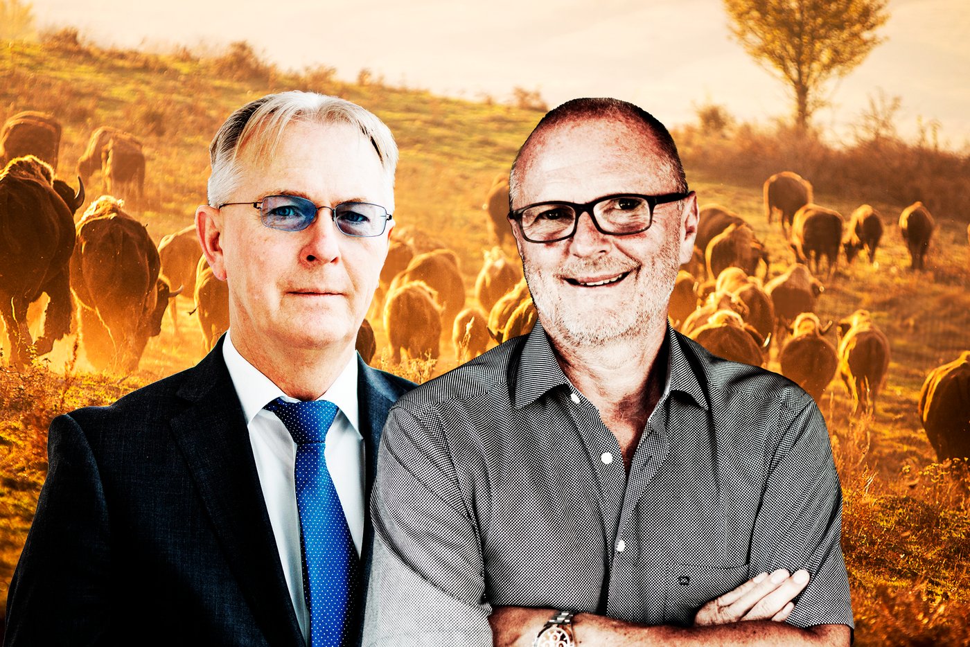 VR-Bank Bad Salzungen Schmalkalden: Die abenteuerlichen Investments der Effenberg-Bank