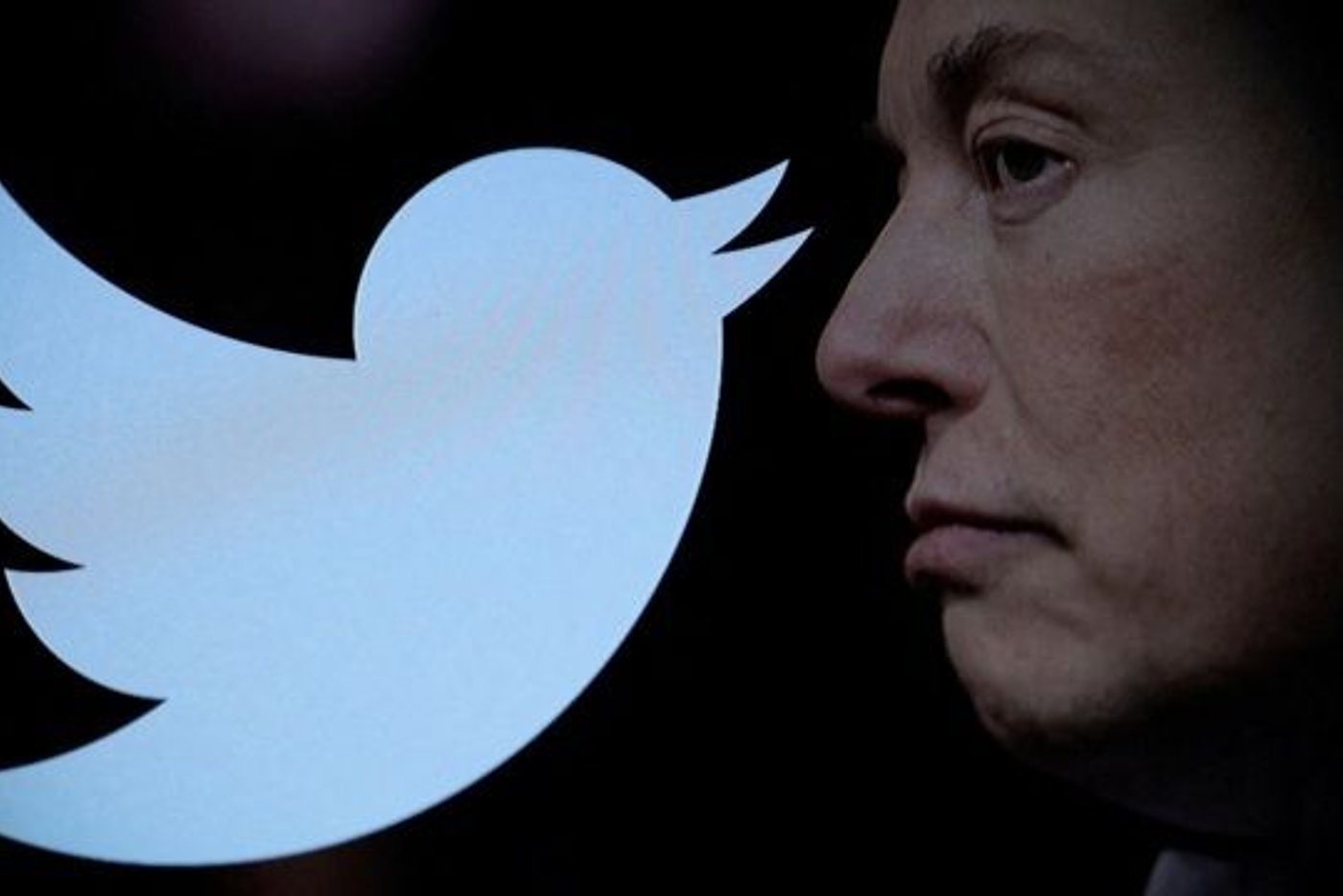 Twitter beschränkt Zugang zu Tweetdeck auf verifizierte Nutzer