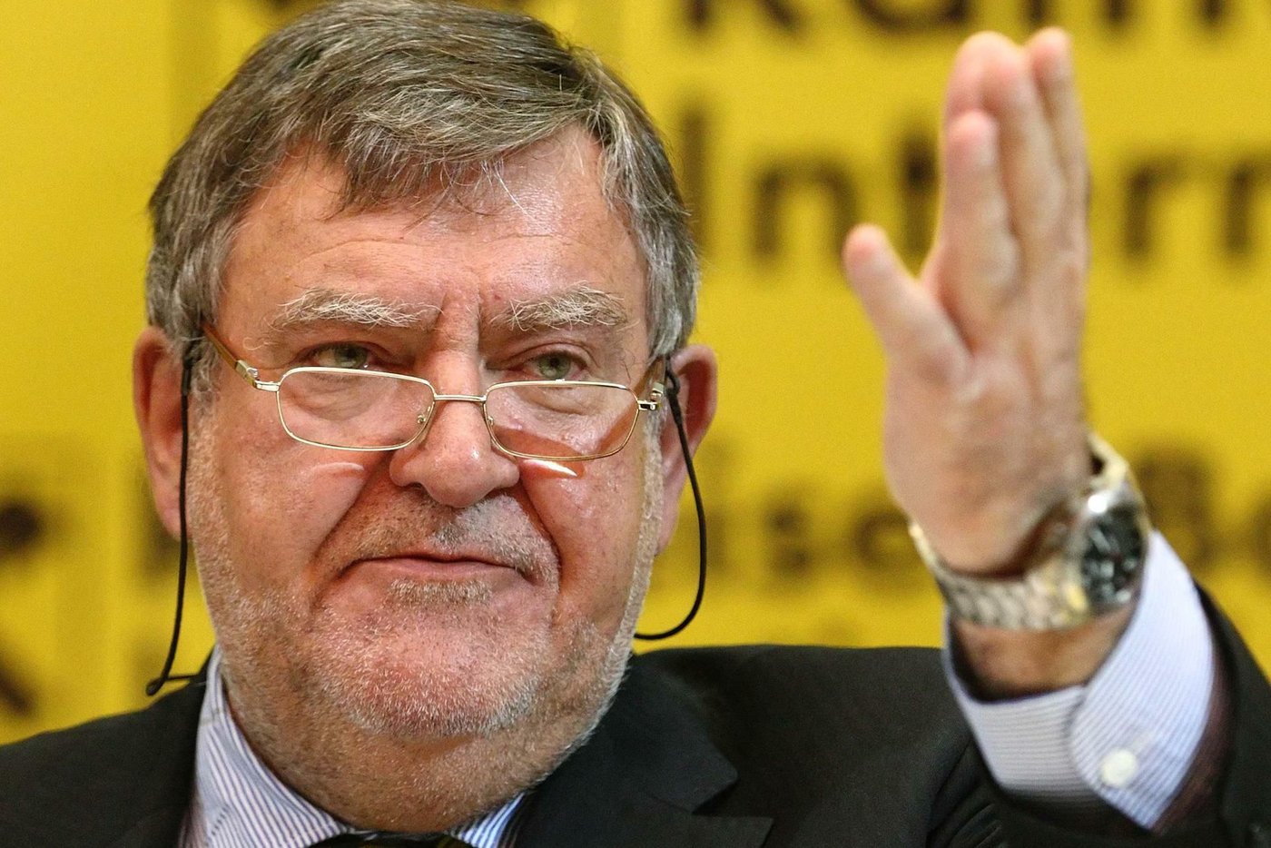 Raiffeisen Österreich: Banker Stepic stolpert über Offshore-Leaks-Skandal