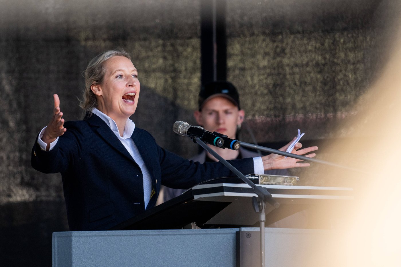 Absprache der AfD-Spitze: Weidel soll Kanzlerkandidatin werden