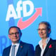 AfD: Welche Anti-AfD-Strategien Experten empfehlen