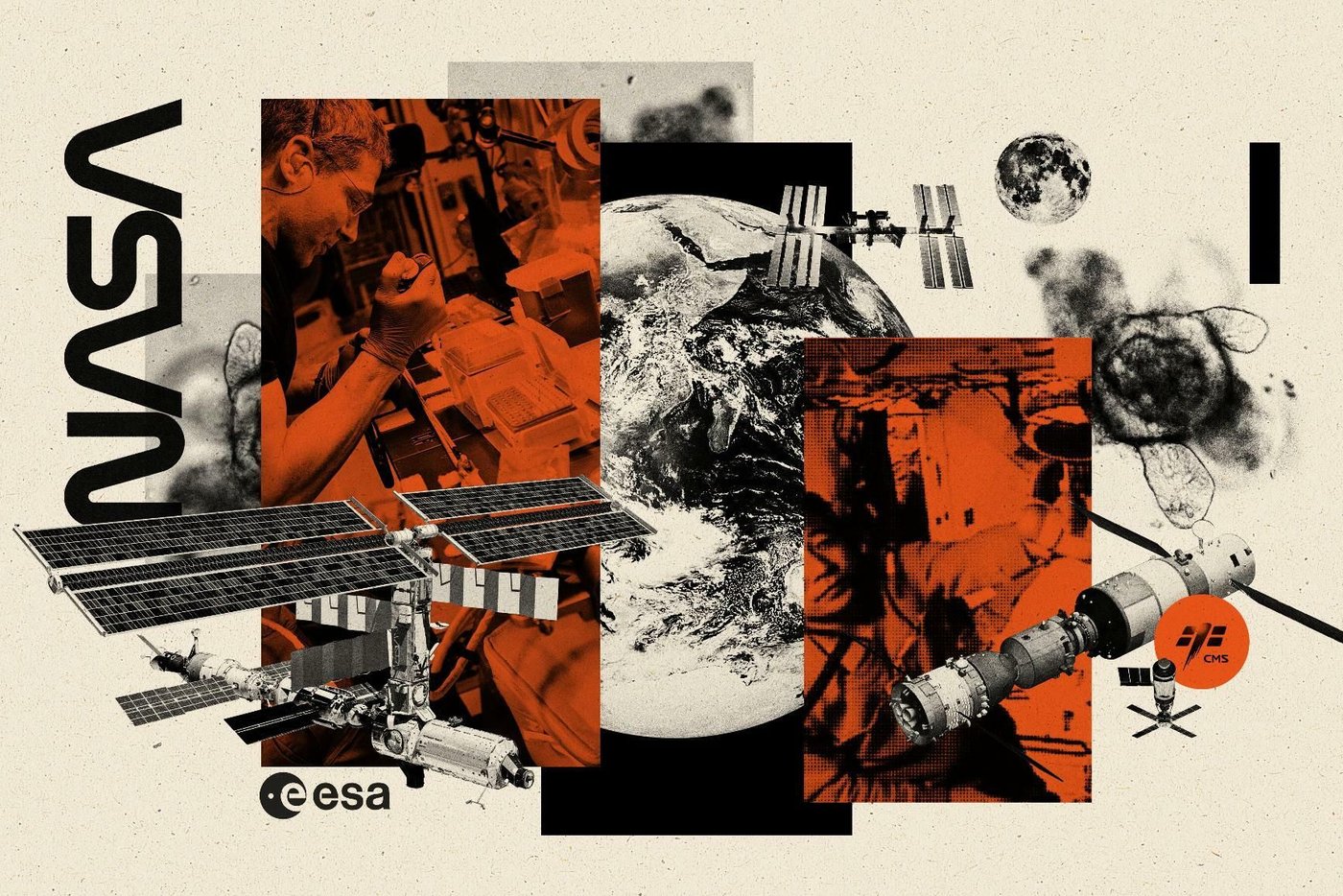 Insight Innovation: Labore im All: Schwerelosigkeit revolutioniert die ...