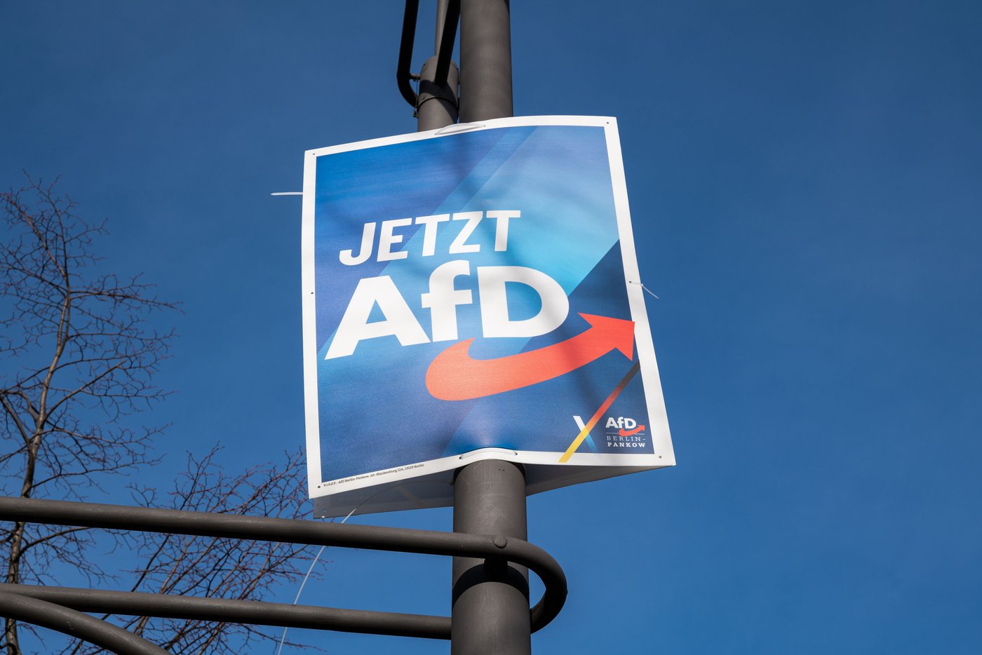 Wahl: Männer-Anteil unter AfD-Wählern so hoch wie bei keiner anderen Partei