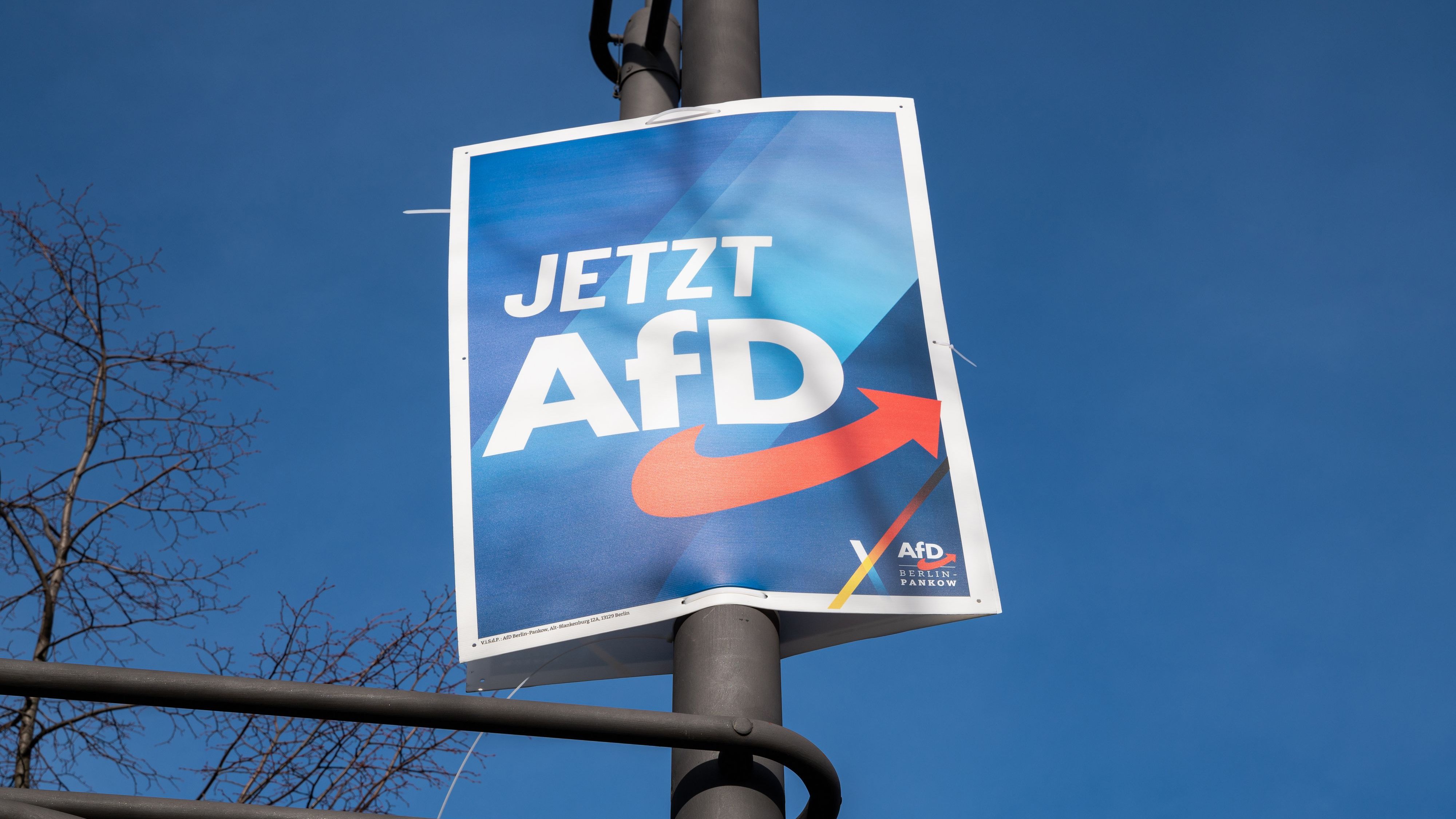 Wahl: Männer-Anteil unter AfD-Wählern so hoch wie bei keiner anderen Partei