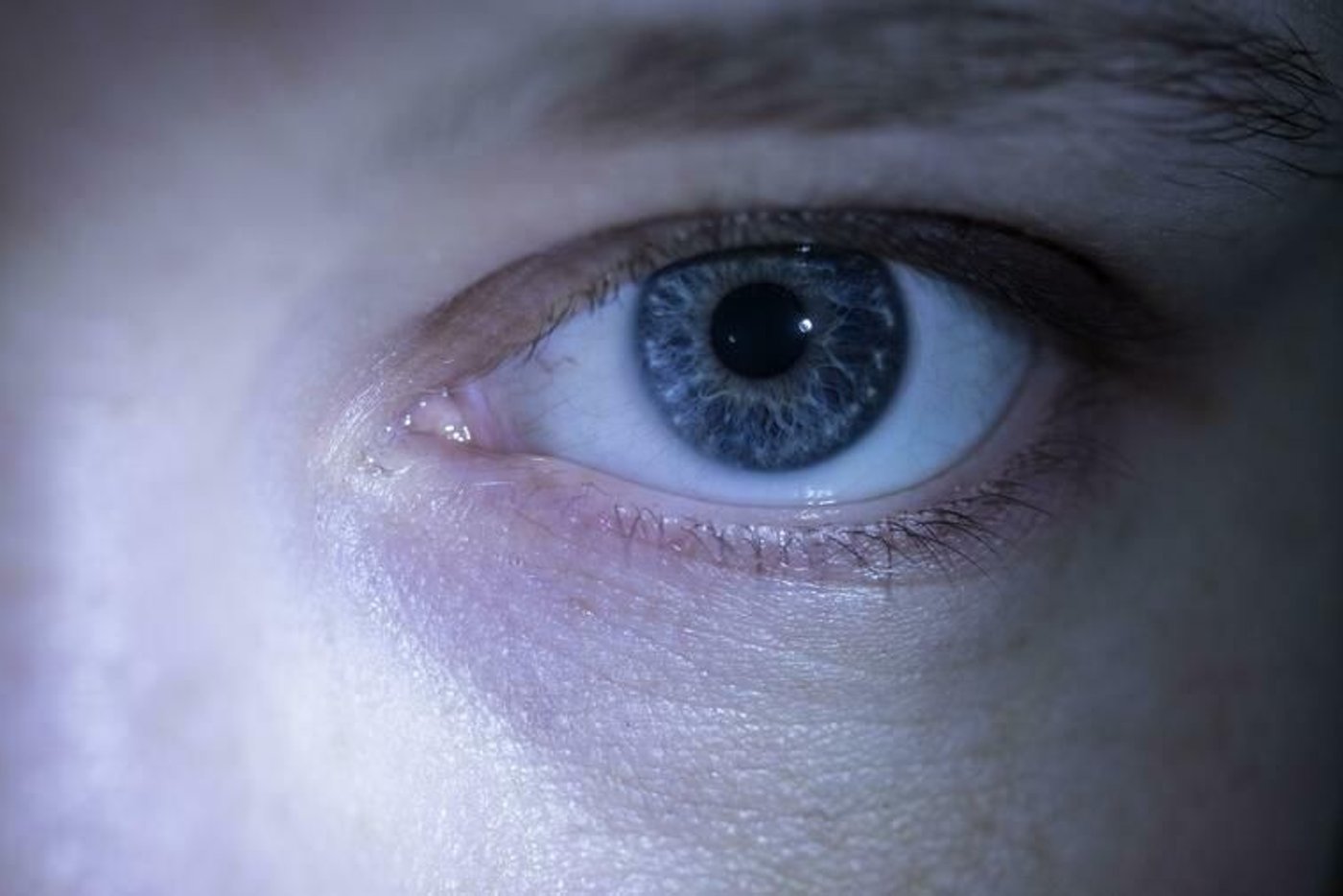 eye2you: Digitale Netzhautuntersuchung schützt Sehkraft