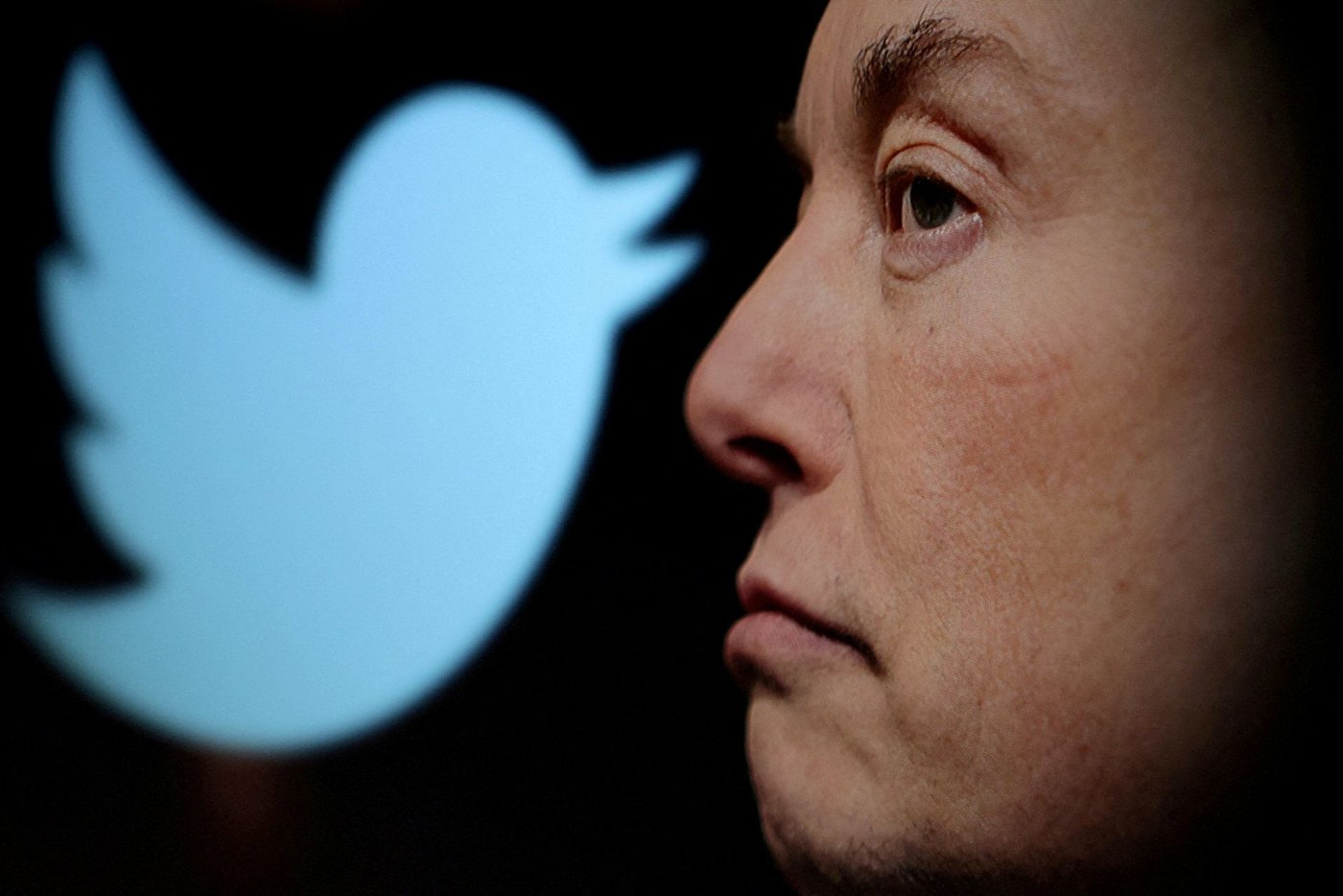 Twitter sperrt Musk- und Twitter-Berichterstatter