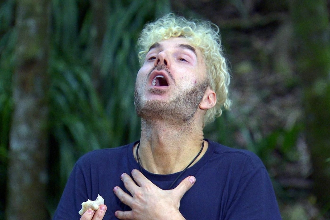 Erkennen und überwinden: Spinnen, Spucken, Fliegen: Ist es Angst oder ...