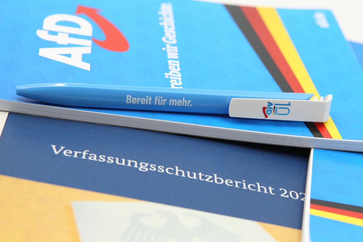 AfD-Verbot: CDU-Abgeordneter beantragt Verbot der AfD