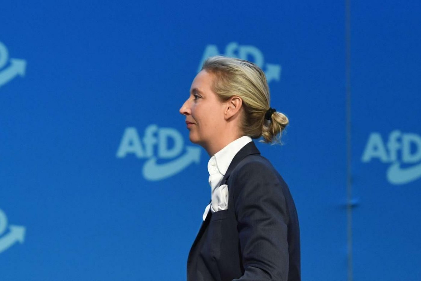 Bundestagswahl 2025: So wurde AfD-Frontfrau Alice Weidel so mächtig