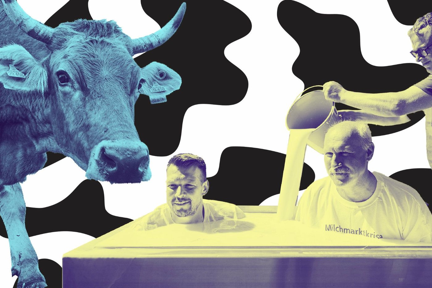 Landwirte: „Wir brauchen zehn Cent Gewinn pro Kilo Milch“