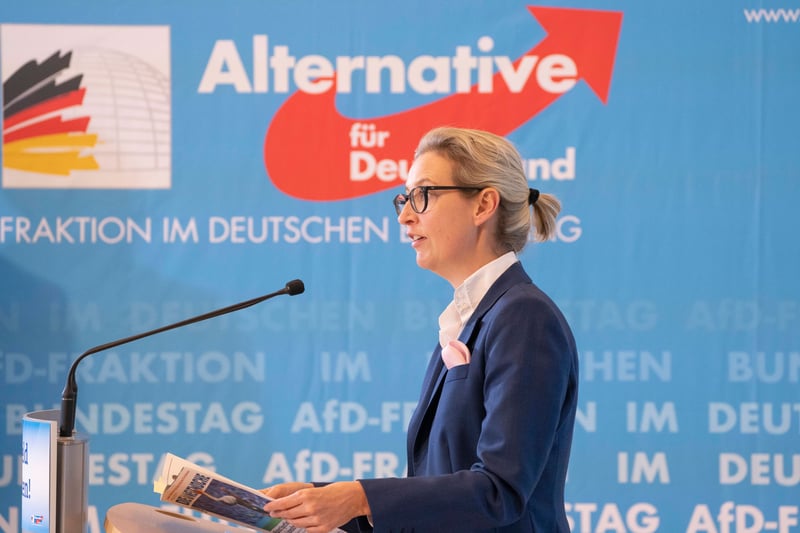 Partei: AfD-Spitze will Junge Alternative neu strukturieren