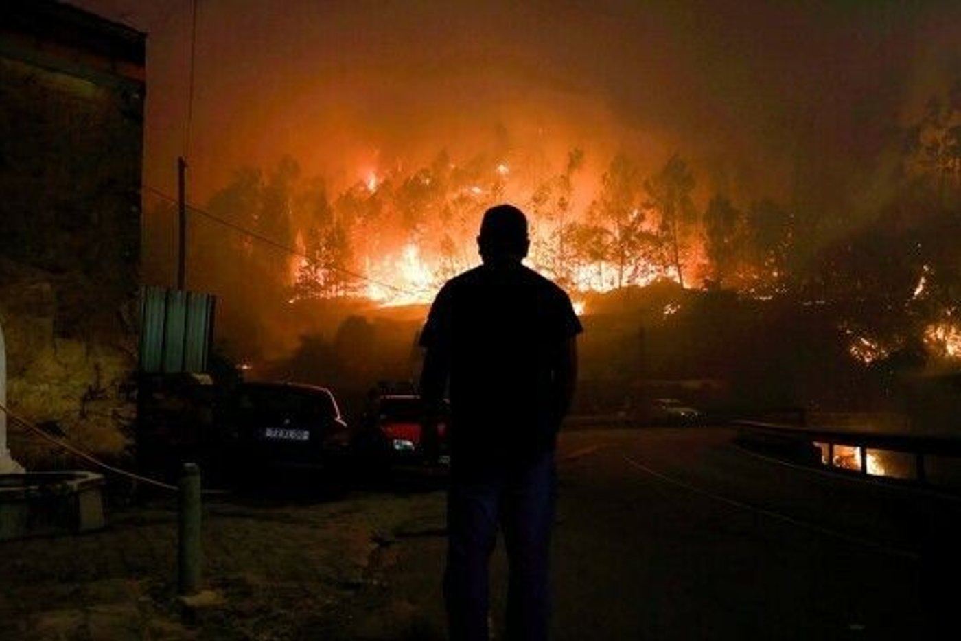 Naturkatastrophe : Portugal ruft Katastrophenzustand aus: Waldbrände ...