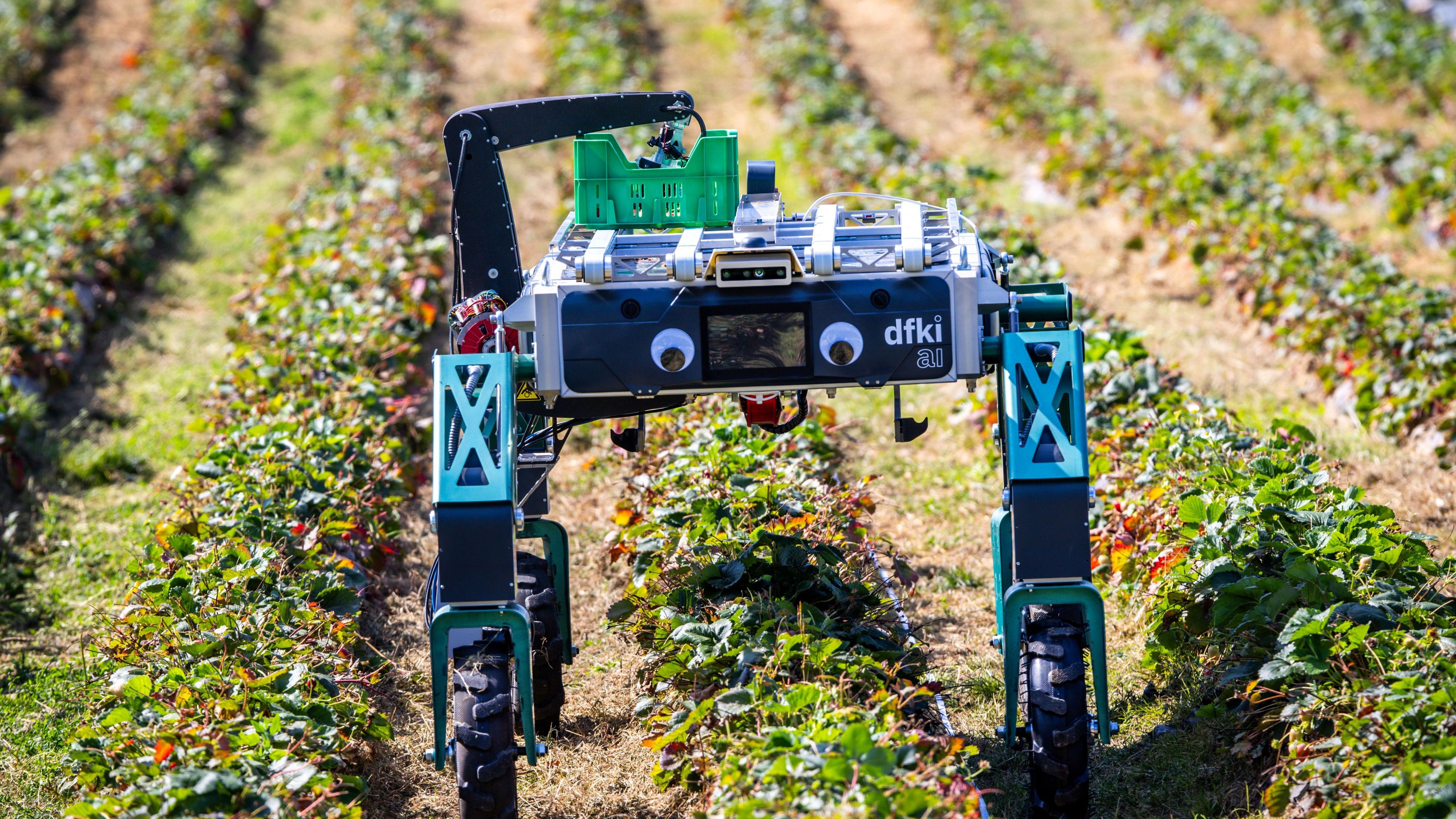 Technologie: Wie Deutschland mit Robotik und KI nach vorn kommen kann