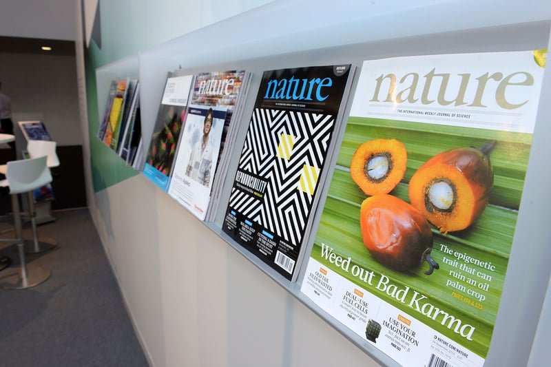 Medien: Wie Springer Nature aus Forschung Rendite macht