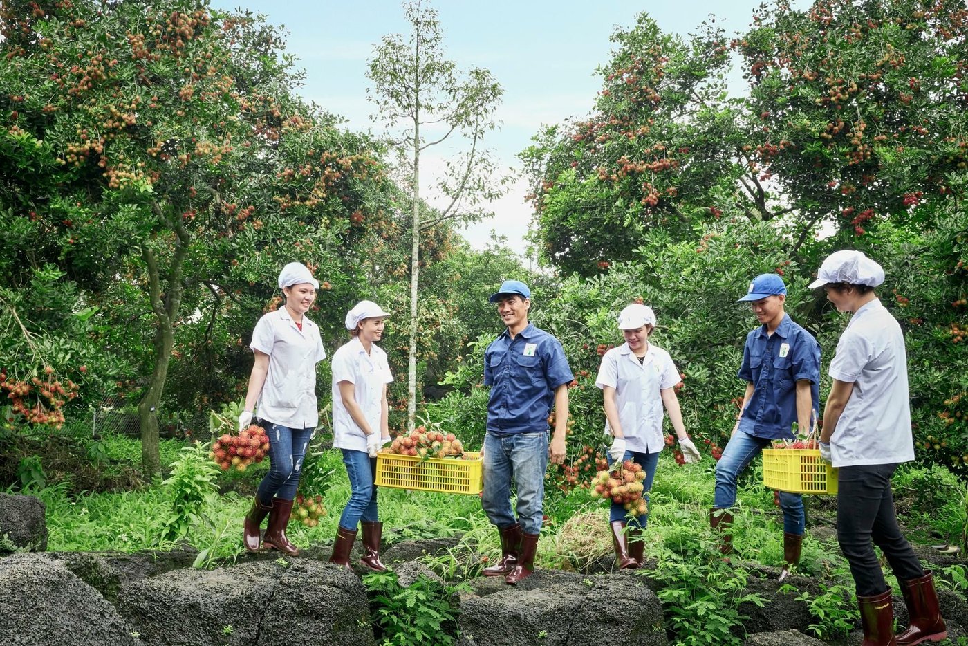 BASF und Covestro: Wie die Chemie nach neuen Rohstoffen sucht