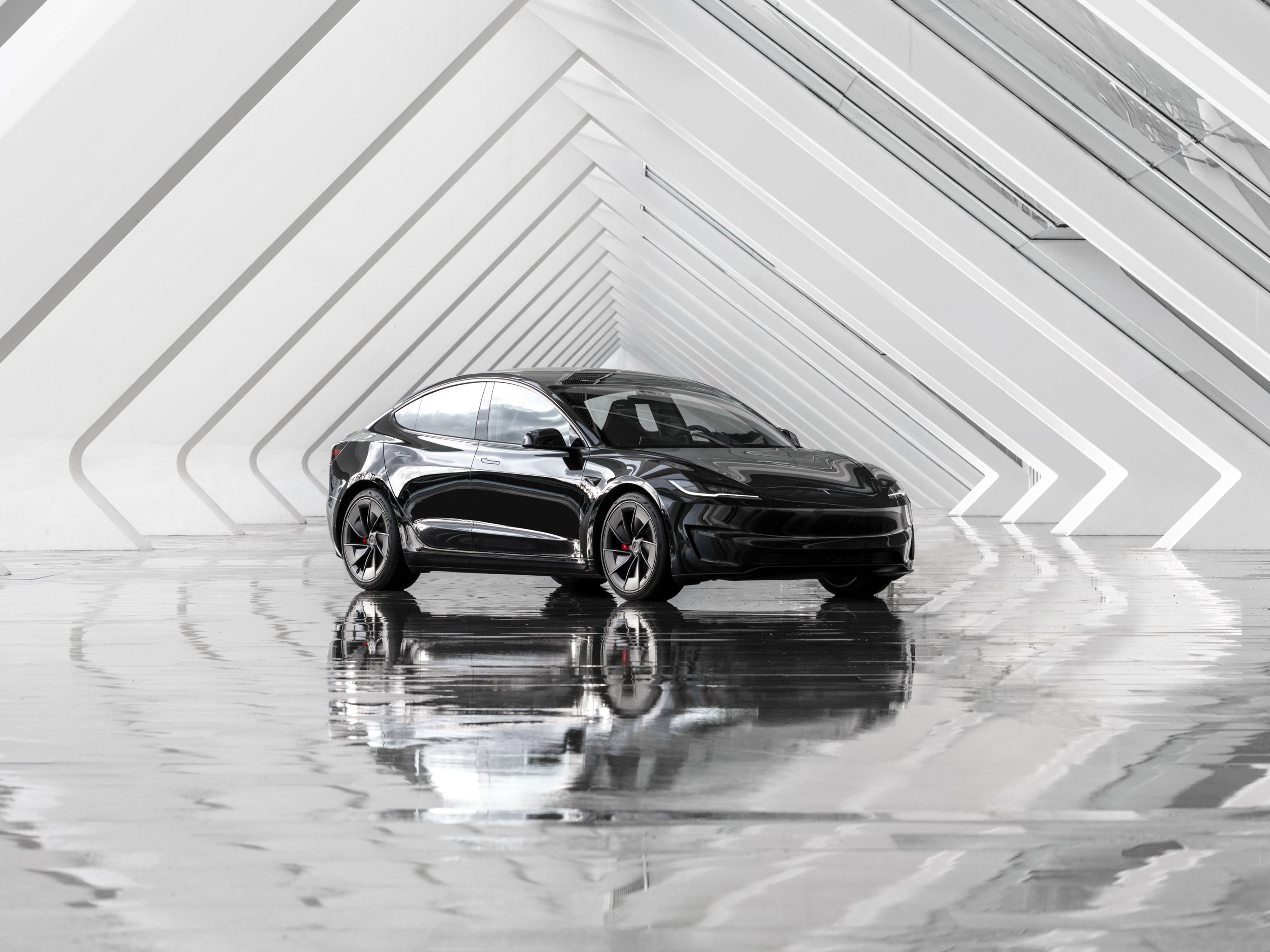 Tesla performance store