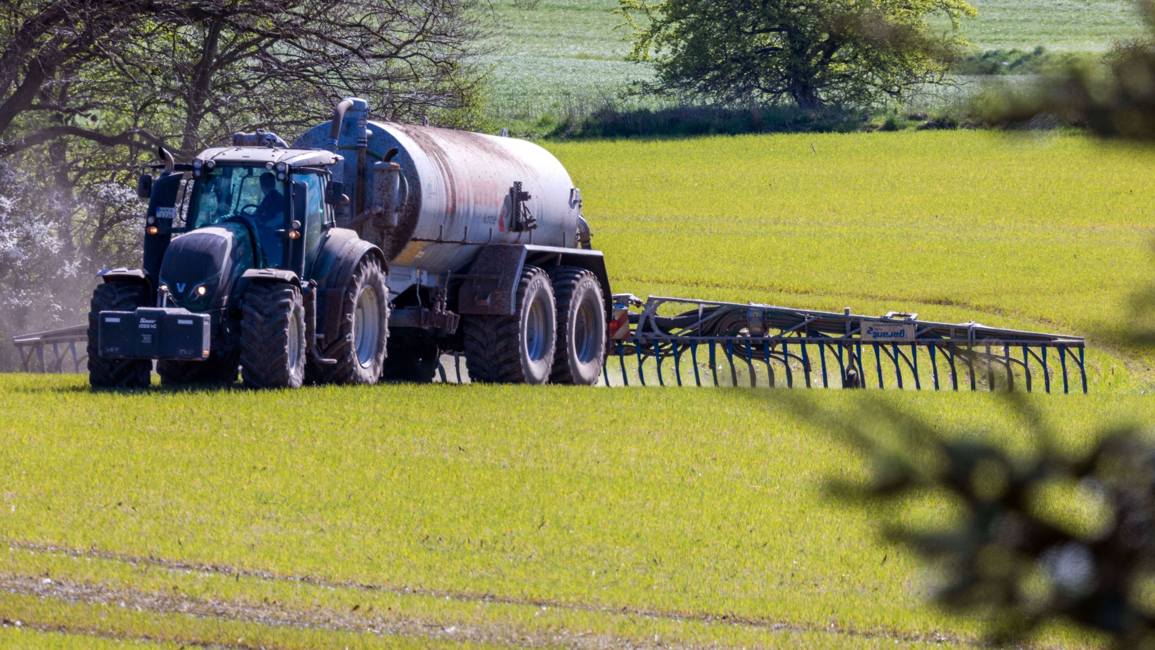 Urteil: Bundesregierung muss Plan für weniger Nitrat erstellen