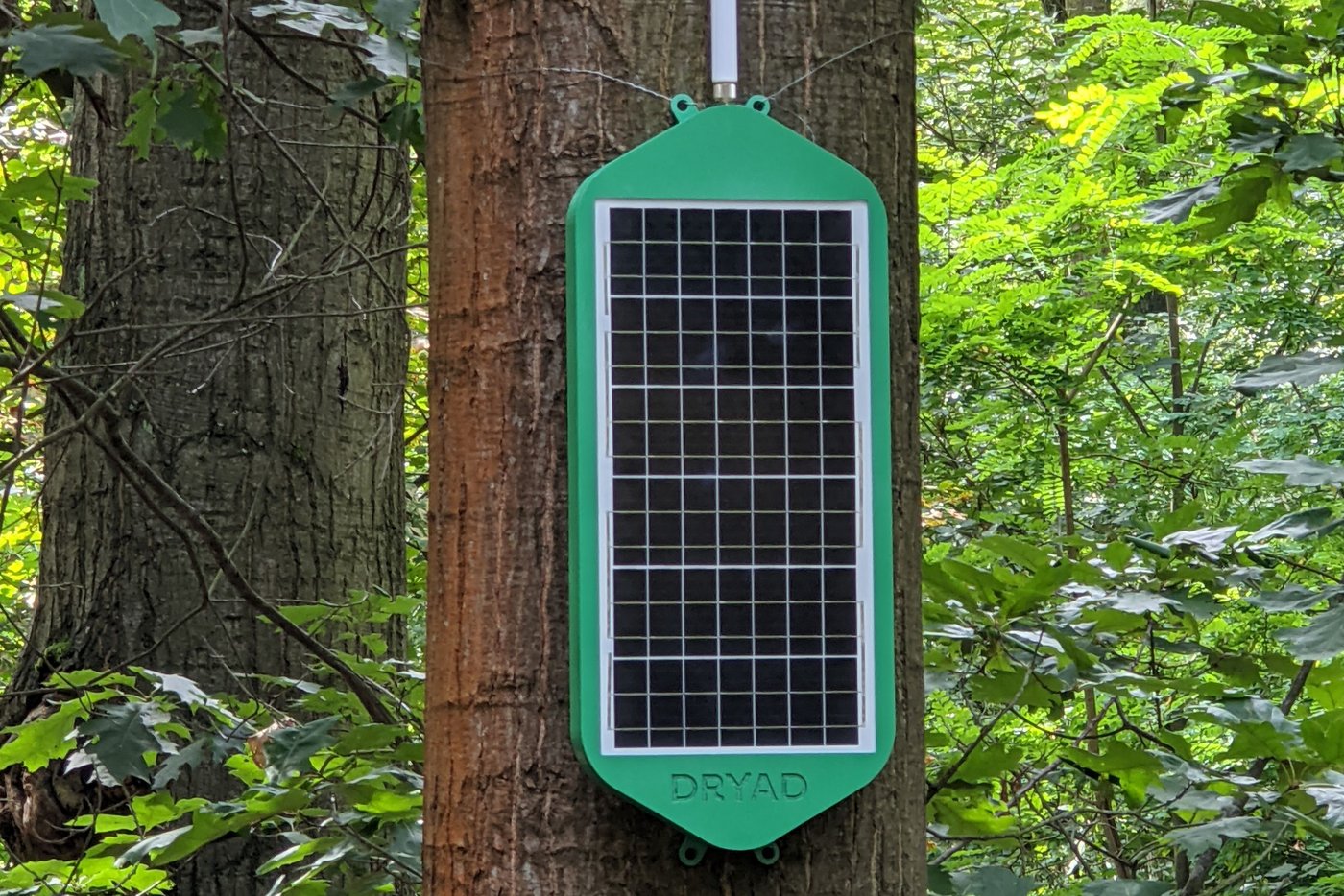 Start-up-Check: Dryad will Waldbrände verhindern – mit Sensoren an Bäumen