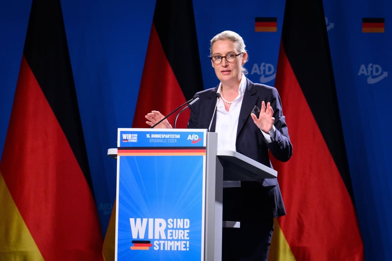 Parteitag: Hoffnung auf weitere Wahlerfolge schweißt die AfD zusammen