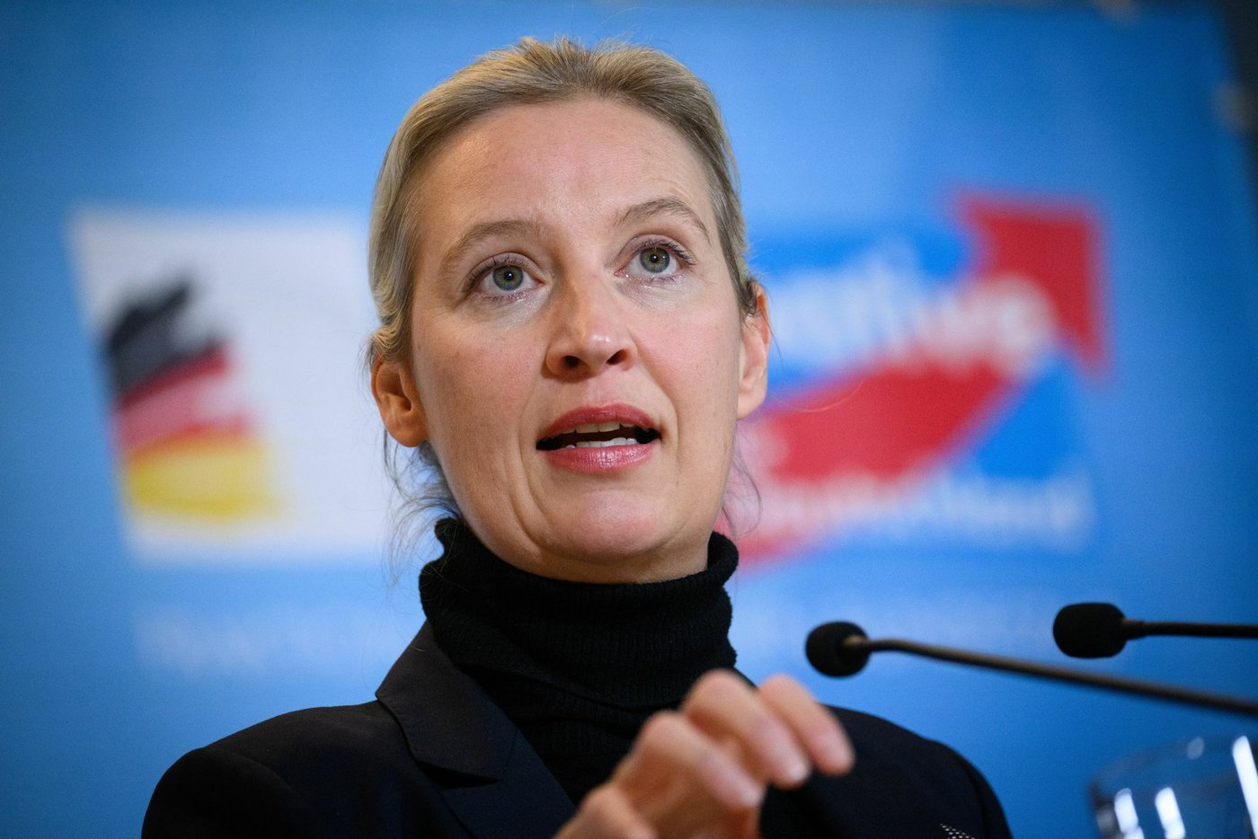 Wahlkampf: Live-Talk Weidel und Musk wohl am 9. Januar