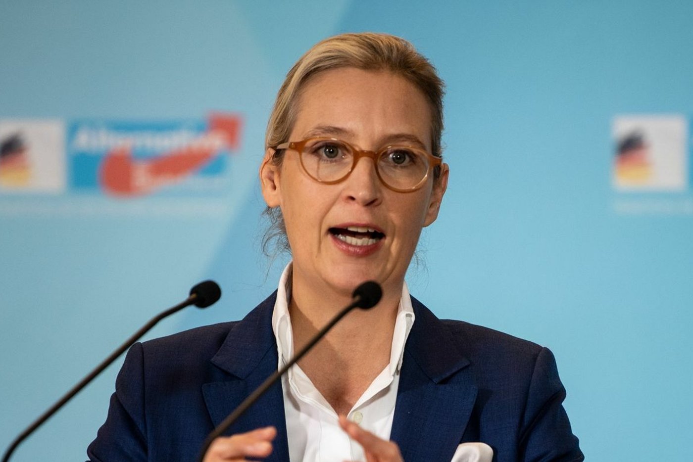 AfD: Co-Chefin Weidel trifft sich in Paris mit Le Pen
