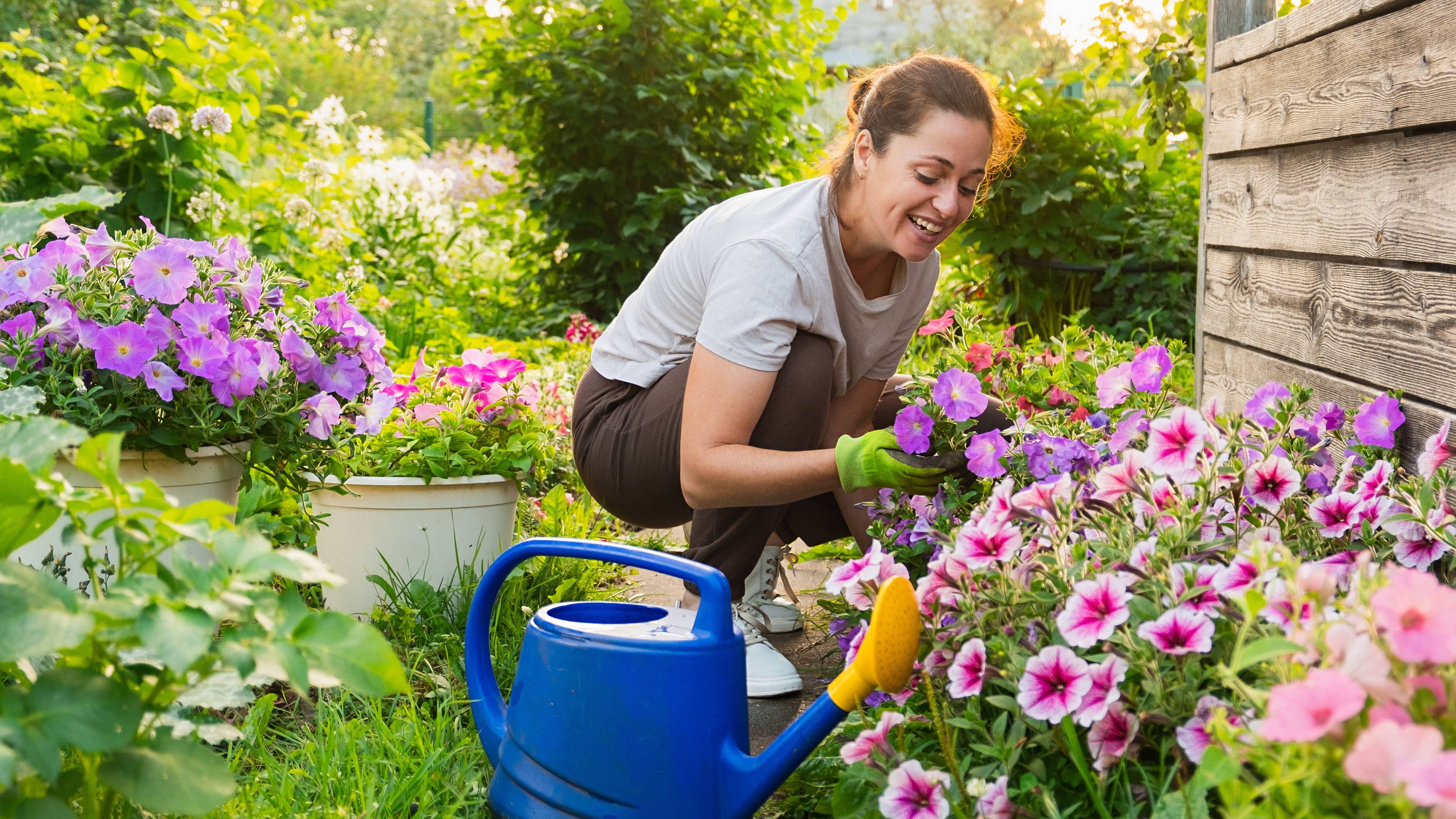 Garten Miete Was Ist Erlaubt