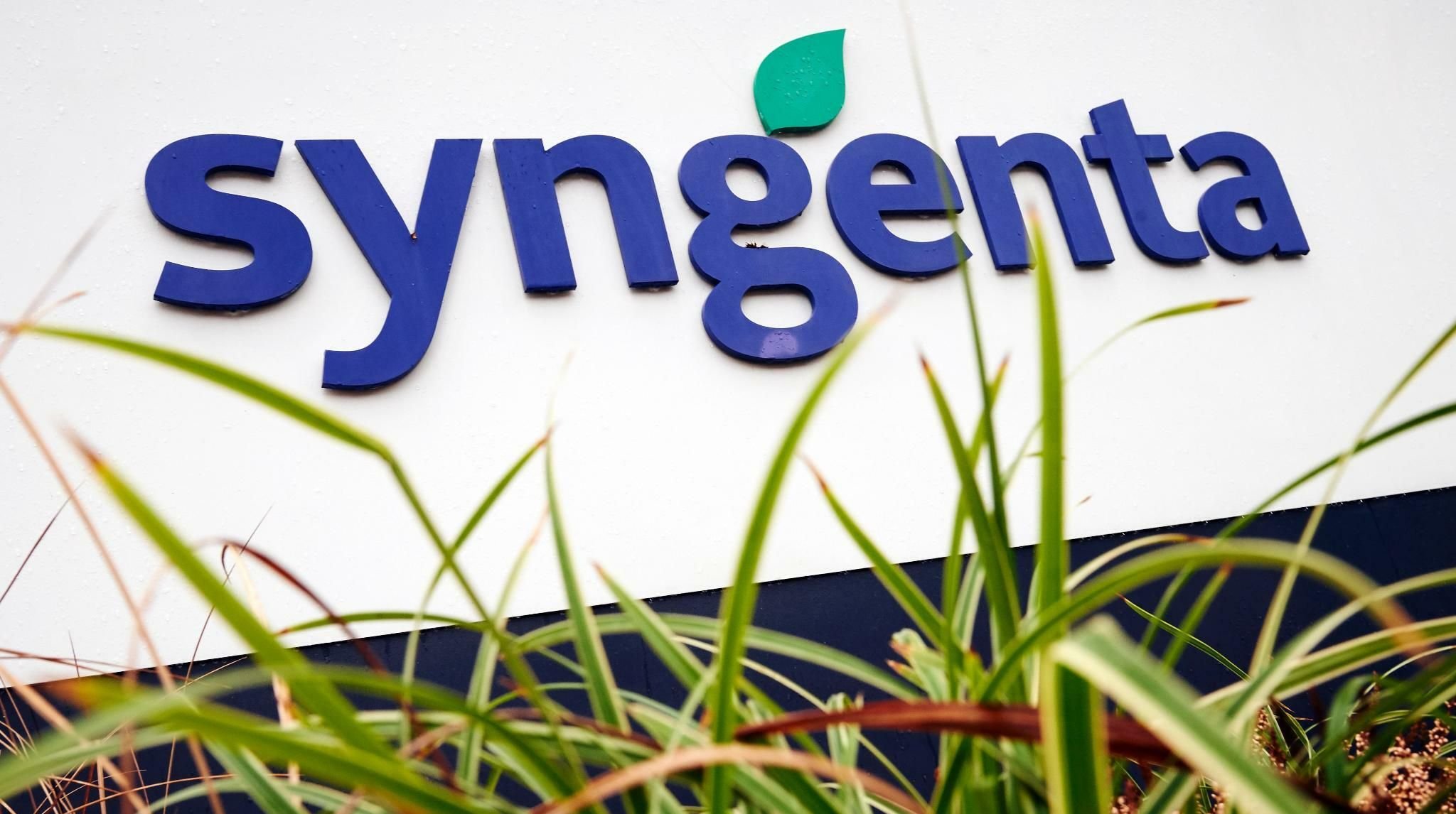 Bayer-Konkurrent Syngenta rüstet sich mit Rekordgewinn für Börsengang