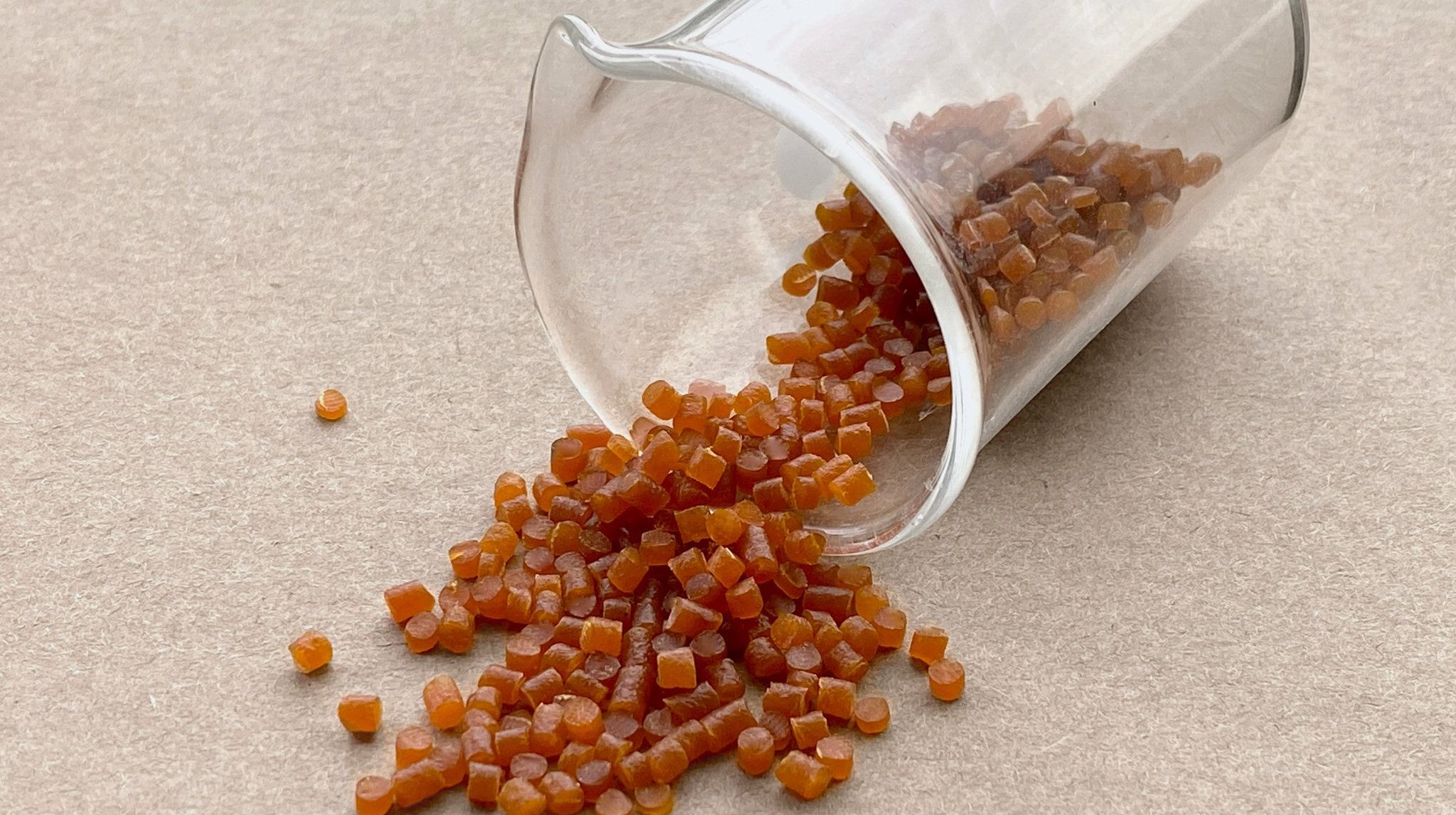 Saubere Alternative zu Plastik – Start-up Traceless gewinnt neue Investoren