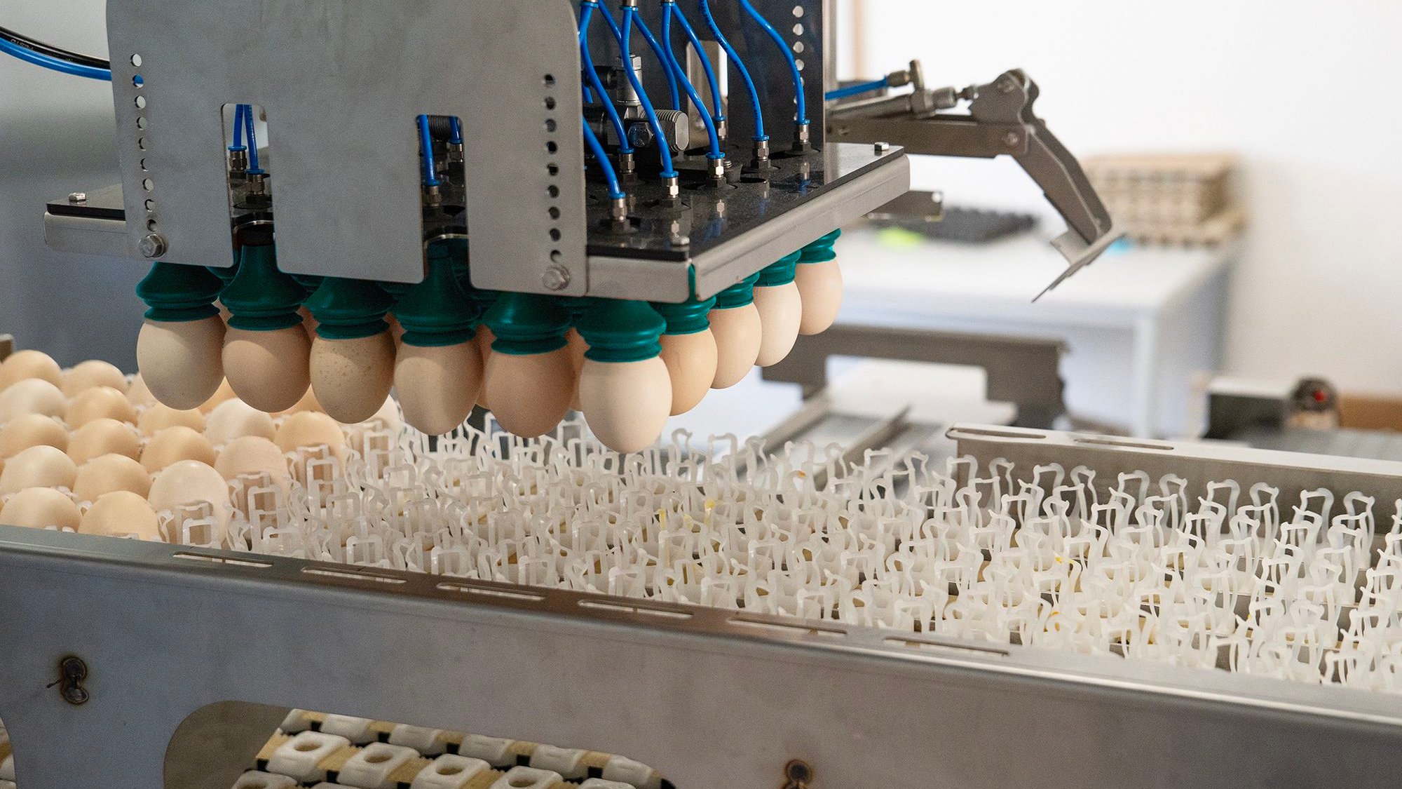 Start-up: Diese Firma findet mittels MRT-Technologie die perfekte Avocado