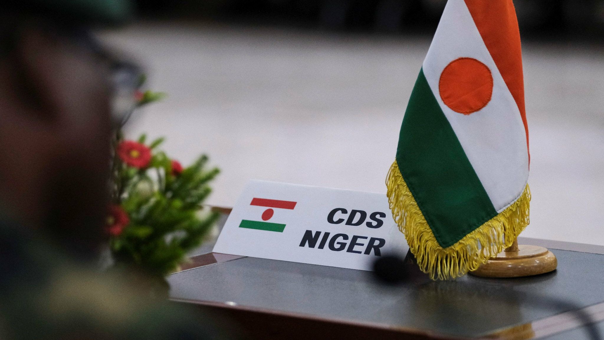 Niger-Krise: Ecowas-Militärchefs sollen Einsatzplan abschließen