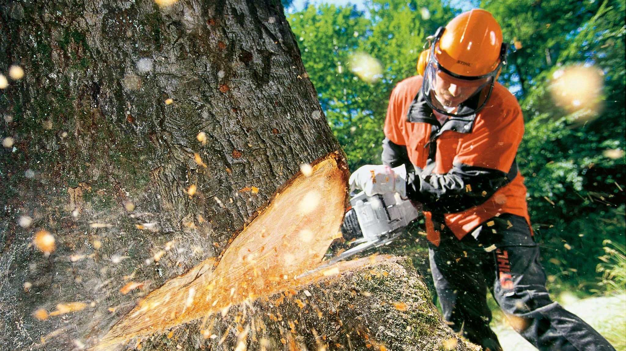 Familienunternehmen: Stihl steigert Umsatz wieder – streicht aber 500 Jobs