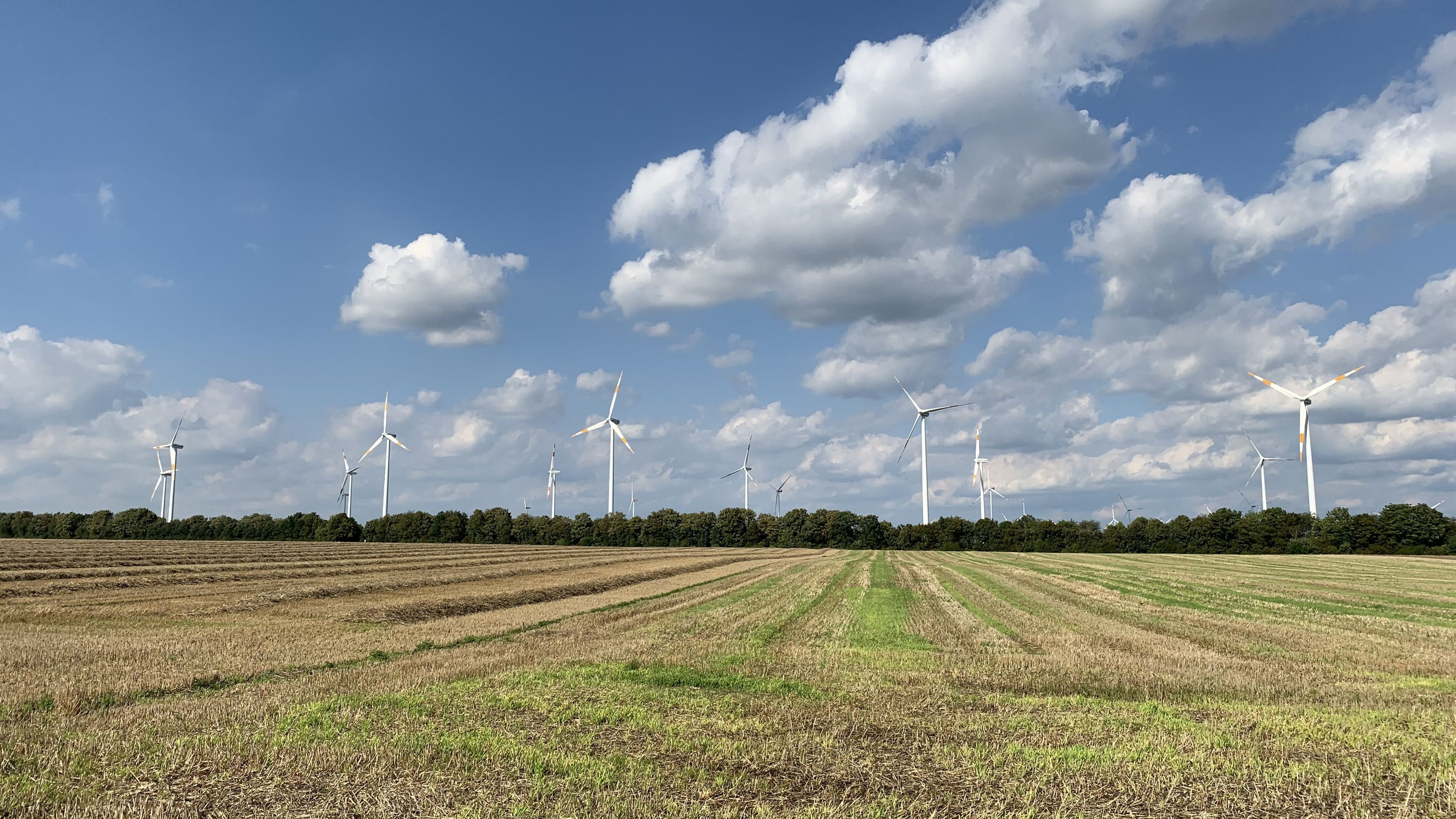 Repowering: So wird das Aufrüsten alter Windparks zum Geschäftsmodell