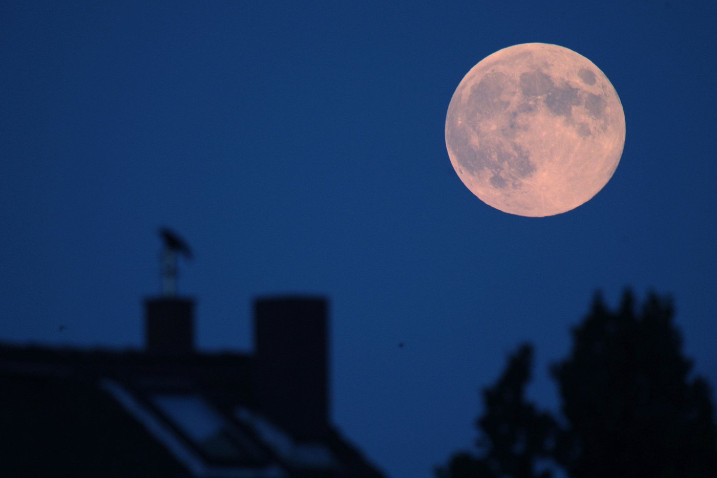 Raumfahrt: Nasa plant offenbar Atomreaktor auf dem Mond