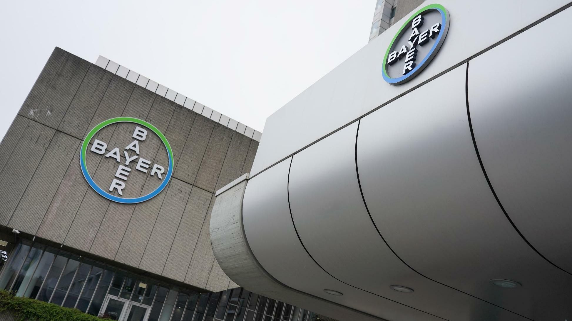 Bluerock: Bayer holt Zelltherapie-Forschung nach Berlin