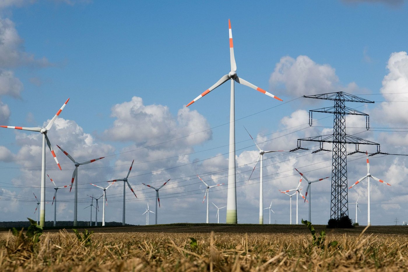 Windkraft: Grüner Strom als Standortvorteil für Norddeutschland
