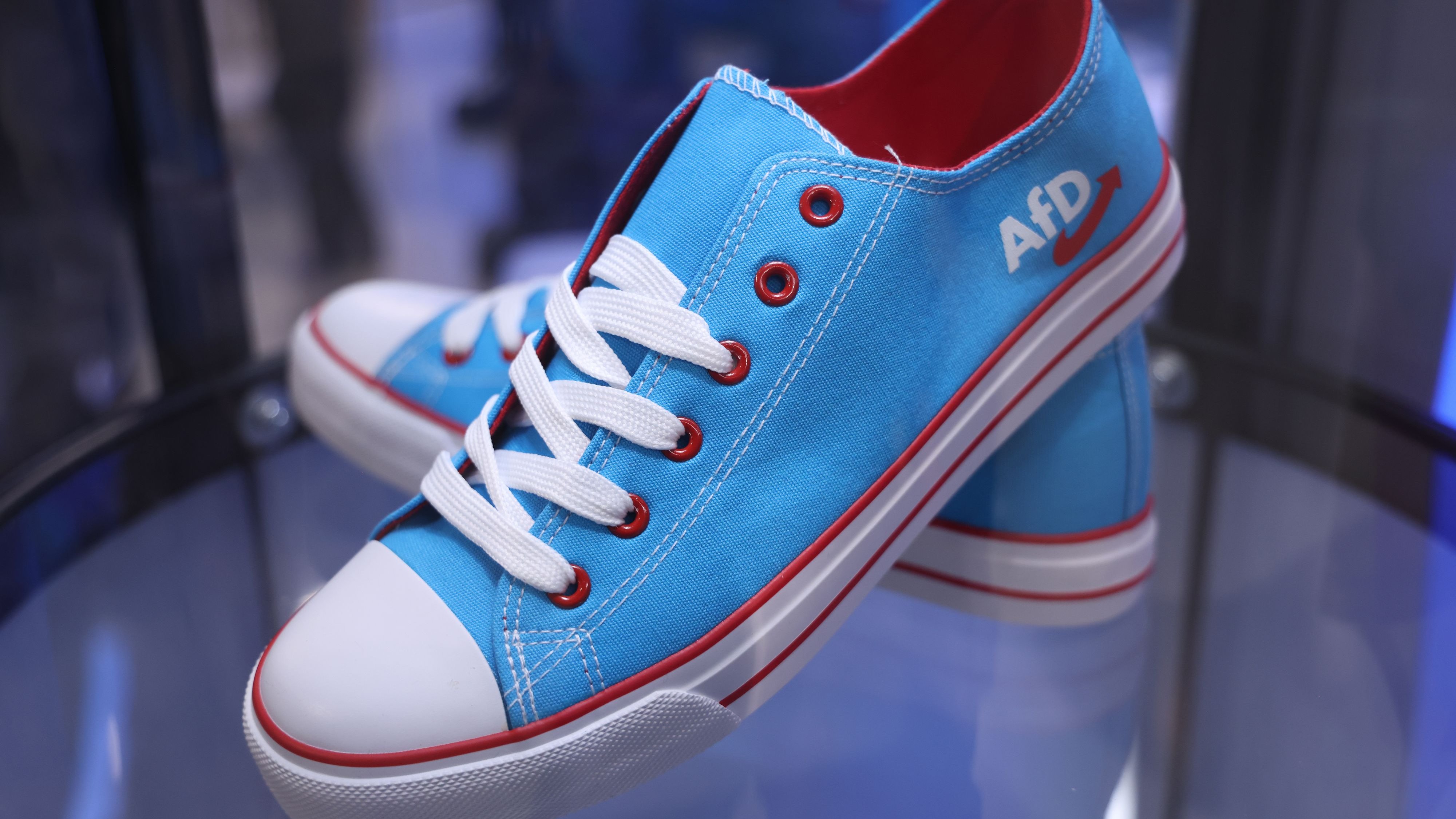 Bundestagswahl: Das sind die größten Parteispender der AfD