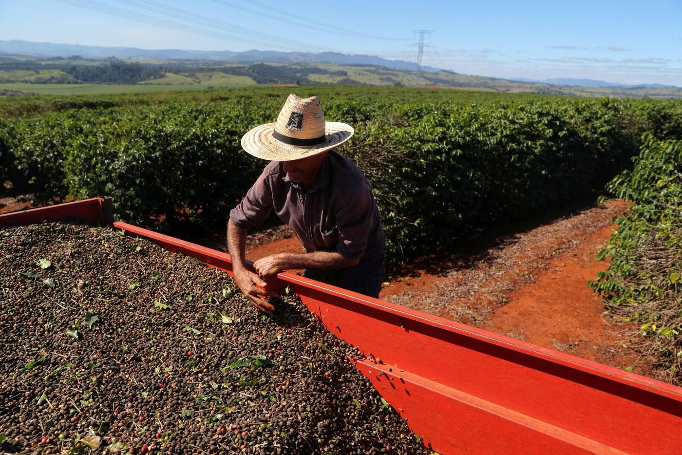 Agrobee: Brasilianisches Start-up hilft Farmern und Imkern