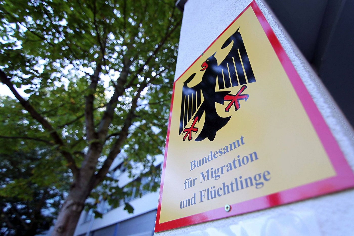 Flüchtlinge: Asylerstanträge sind 2023 um rund 50 Prozent angestiegen