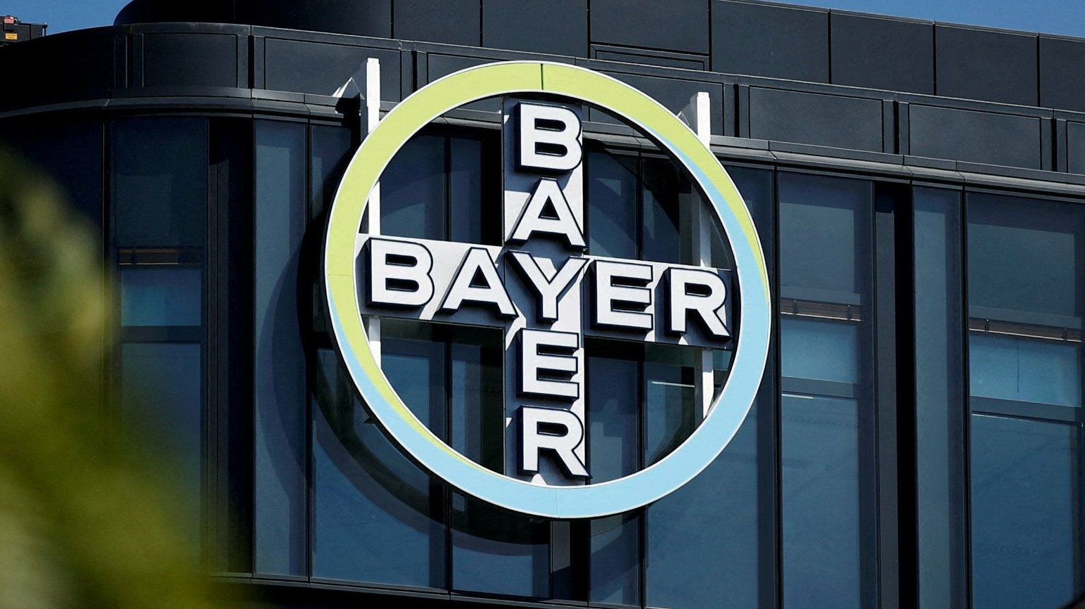 Bayer: Diese Börsenwerte sehen Hedgefonds im Falle einer Aufteilung