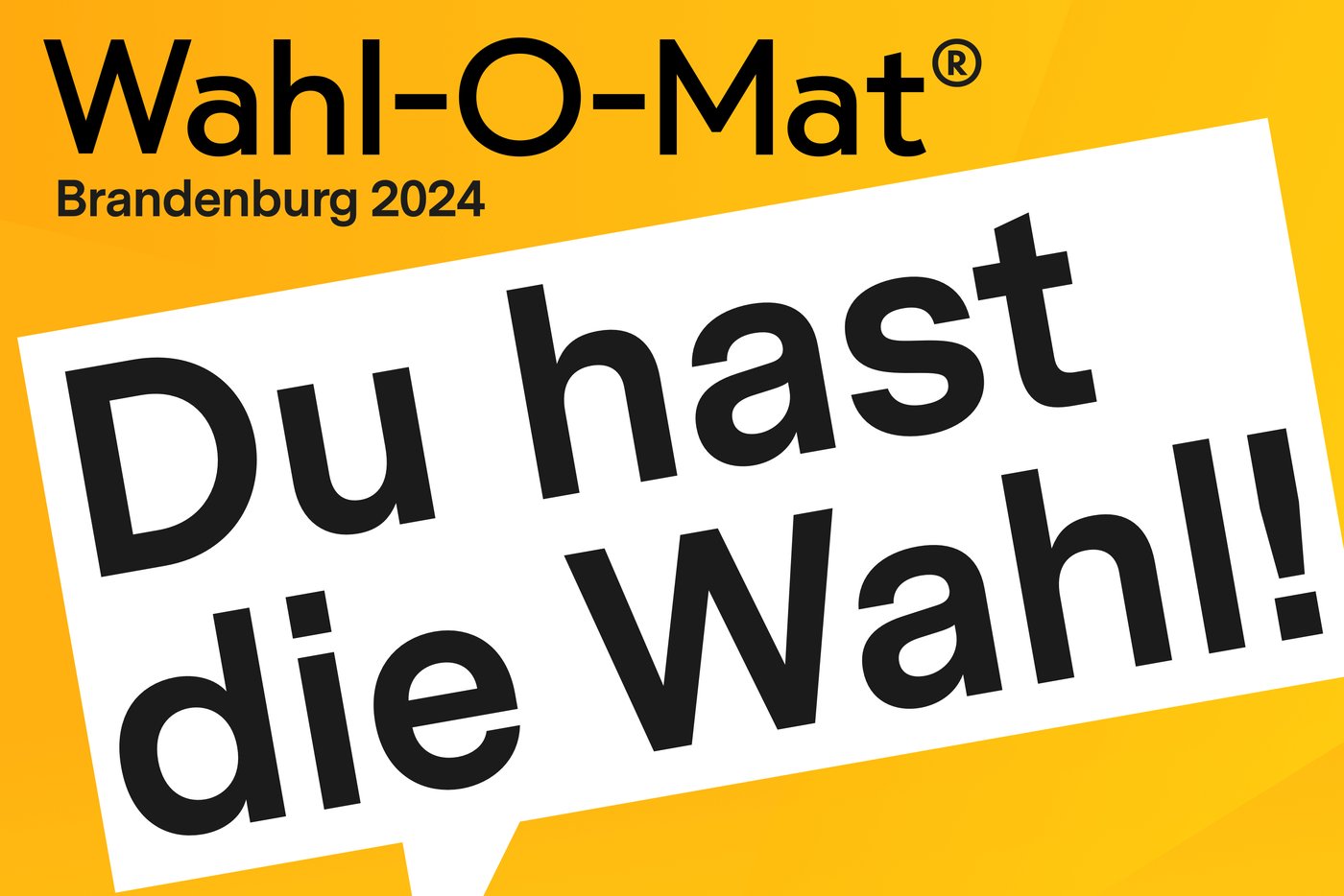 Wahl-O-Mat zur Brandenburg-Wahl 2024: Welche Partei passt zu Ihnen? Wahl-O-Mat zur Brandenburg-Wahl 2024: Welche Partei passt zu Ihnen?