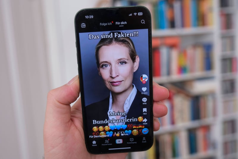 Bundestagswahl 2025: Verliert die AfD ihren Vorsprung im digitalen ...