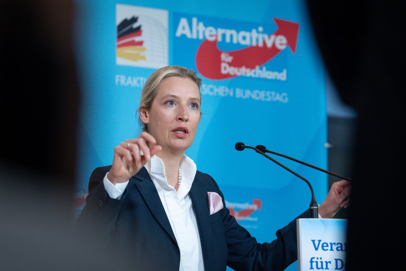 Dexit: AfD-Chefin Weidel bringt Austritt Deutschlands aus der EU ins Spiel