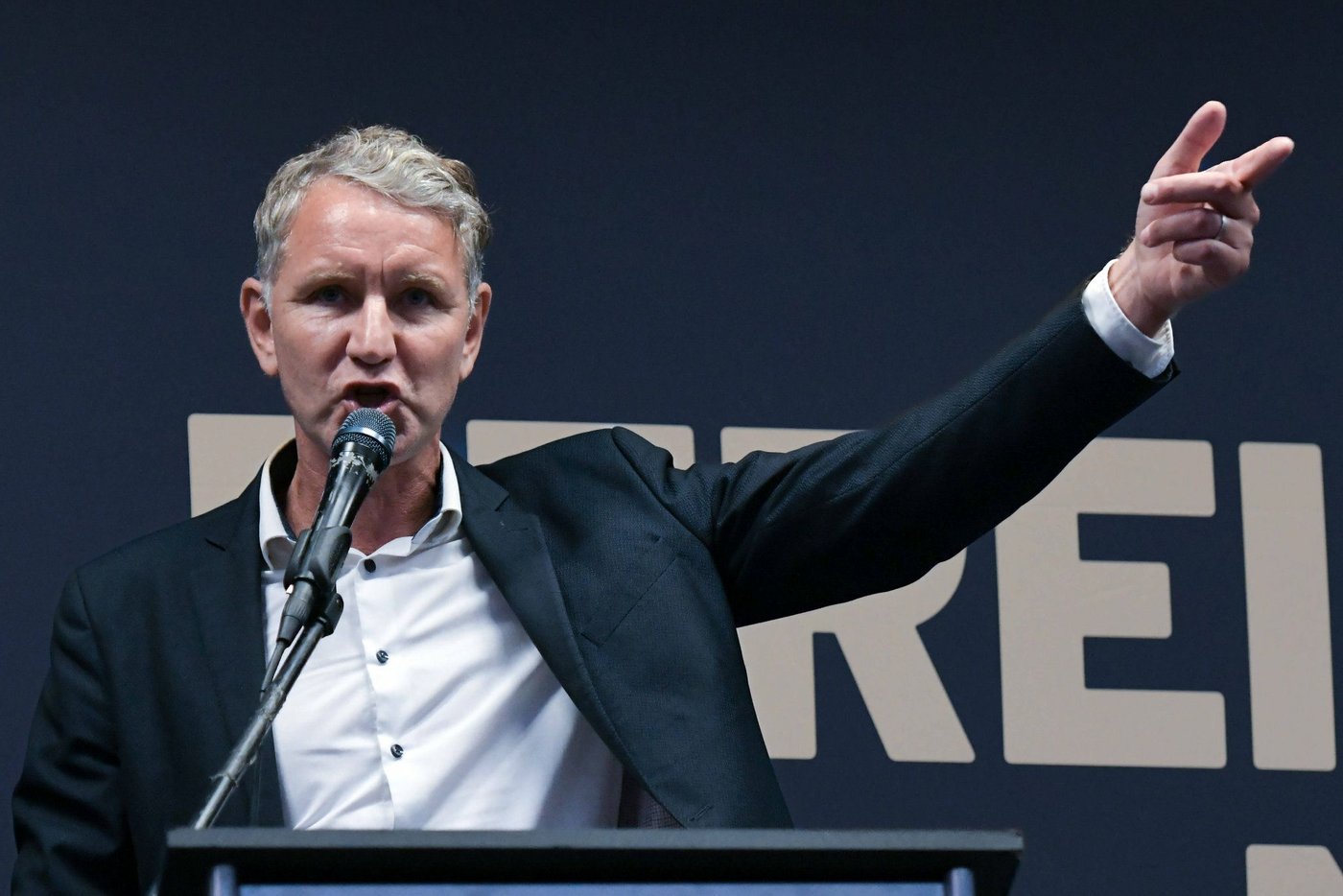 AfD-Vorsitzender Höcke muss vor Gericht